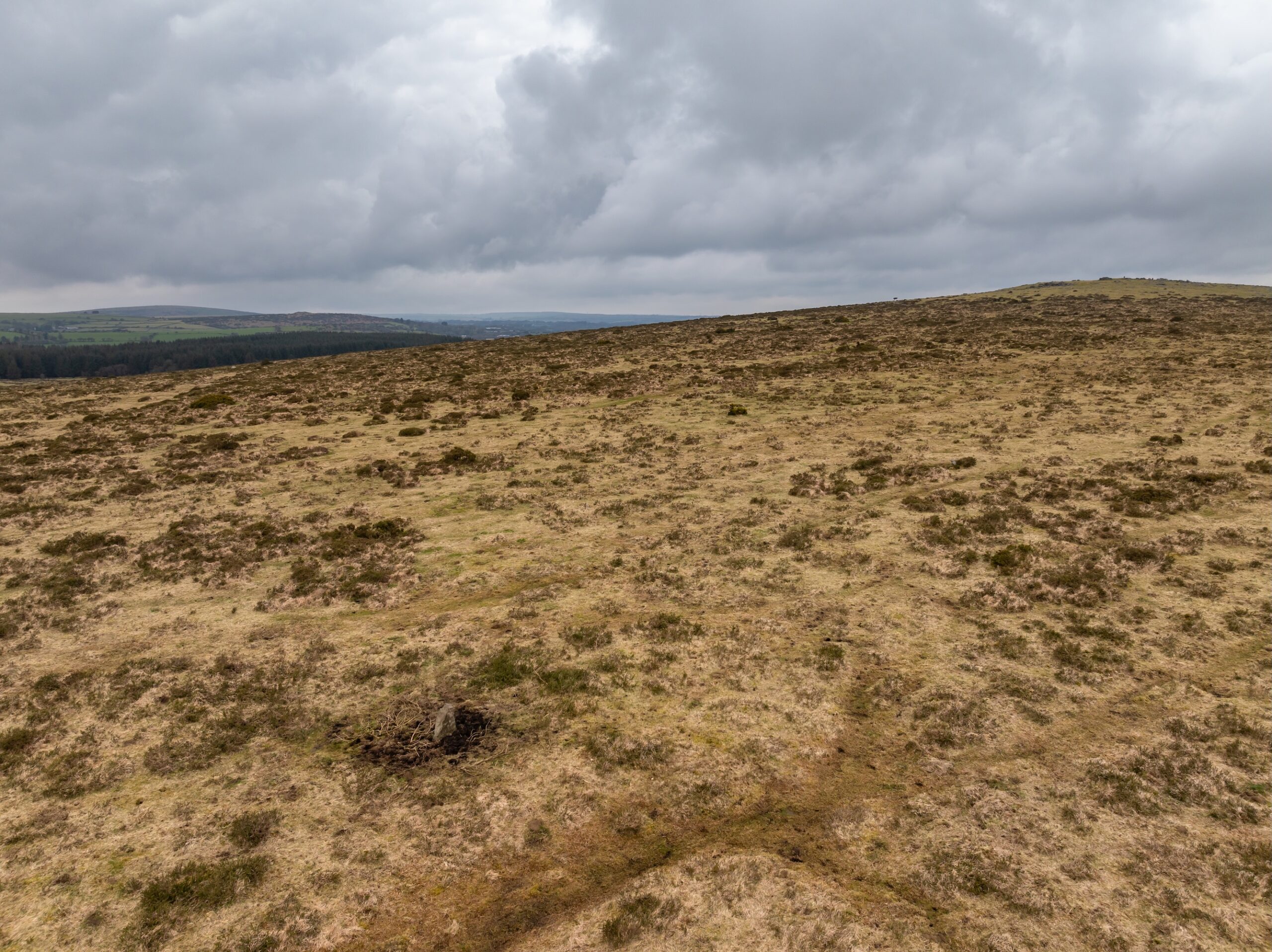 Fox Tor Stone Alignment – Cornwall National Landscape