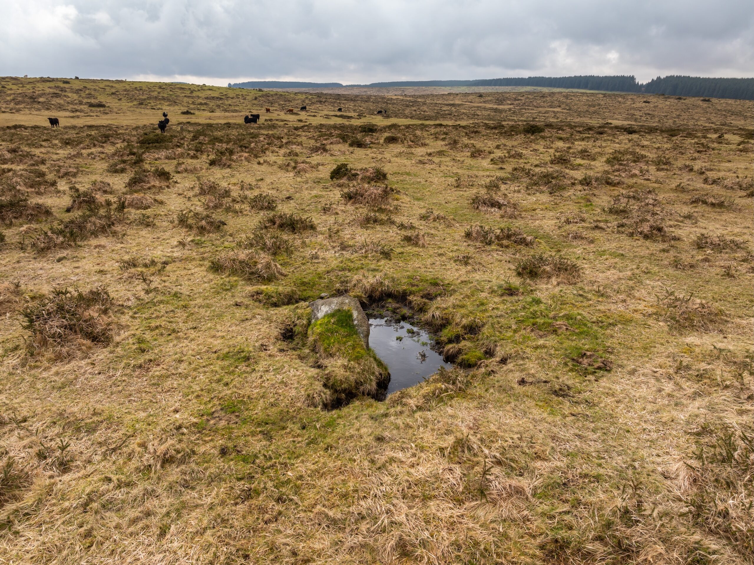 Fox Tor Stone Alignment – Cornwall National Landscape